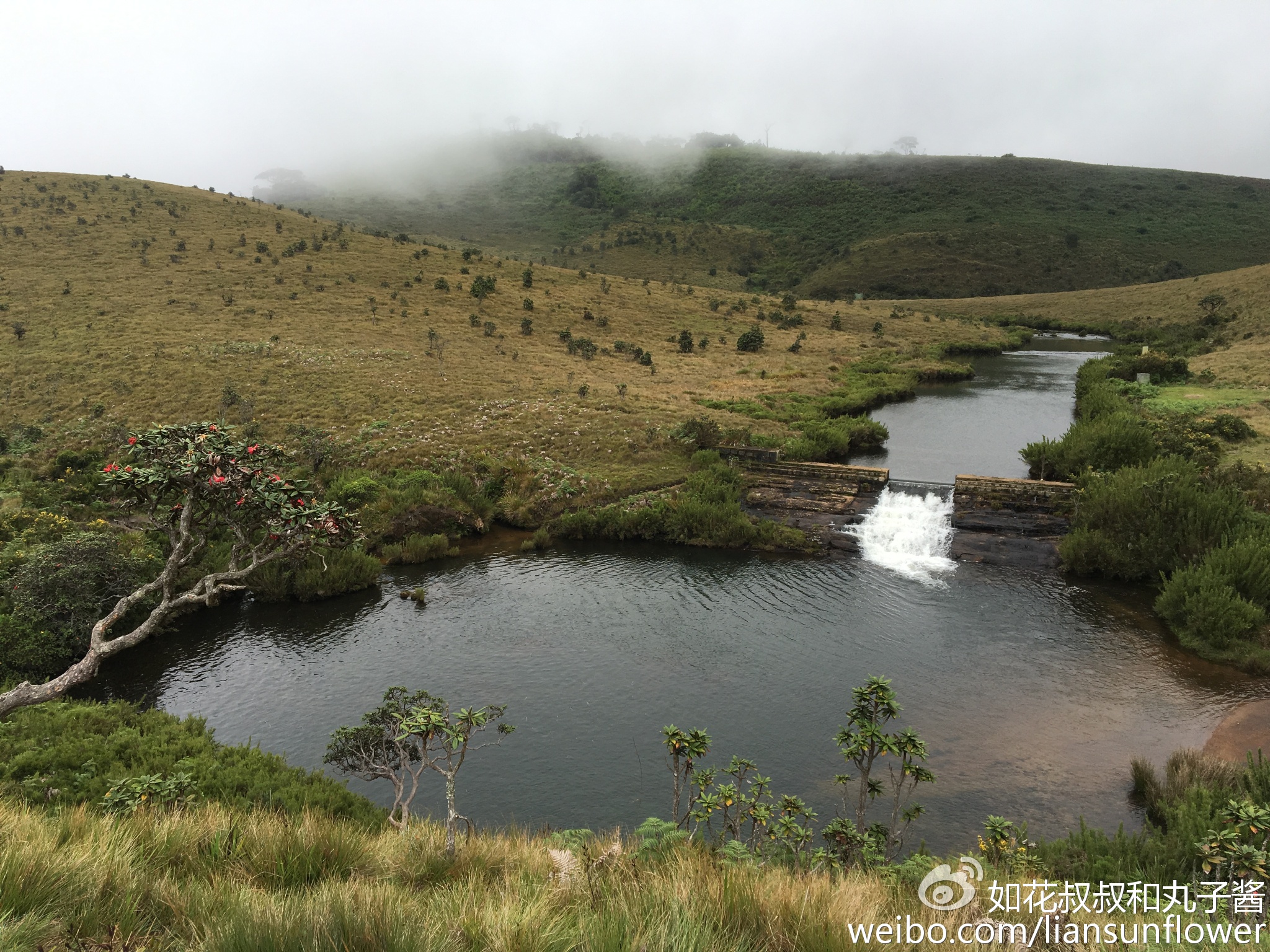 斯里兰卡 开着小火车去往世界尽头_新浪旅游_新浪网