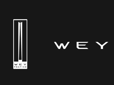 自主高端之路九死一生，WEY能否成为中国首个标杆性豪华品牌？-新浪汽车