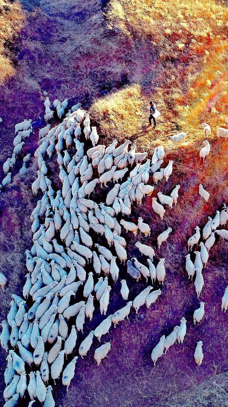 大美朔州:塞上绿洲航拍习作32幅