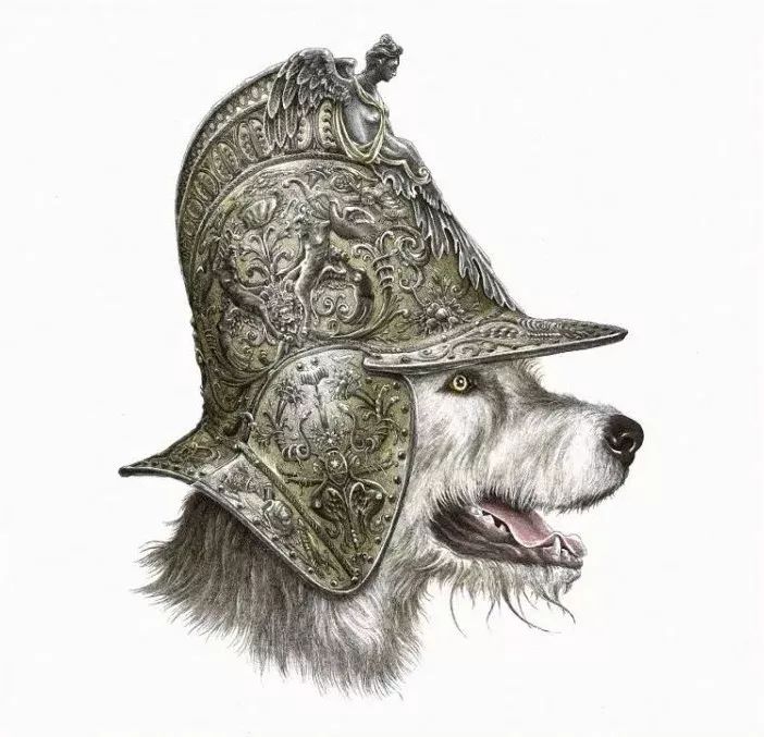 超一流的素描作品 这些动物看起来太帅了