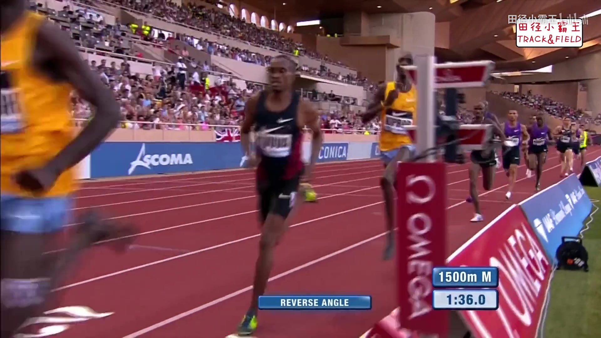 钻石联赛摩纳哥站1500m基普罗普冲击世界纪录莫法拉赫出镜_手机新浪网