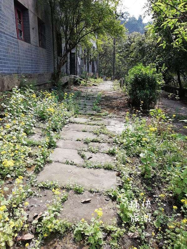 探访自贡历史建筑之炎帝宫