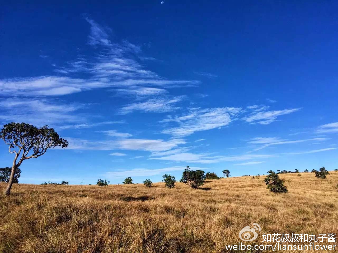 斯里兰卡 开着小火车去往世界尽头_新浪旅游_新浪网