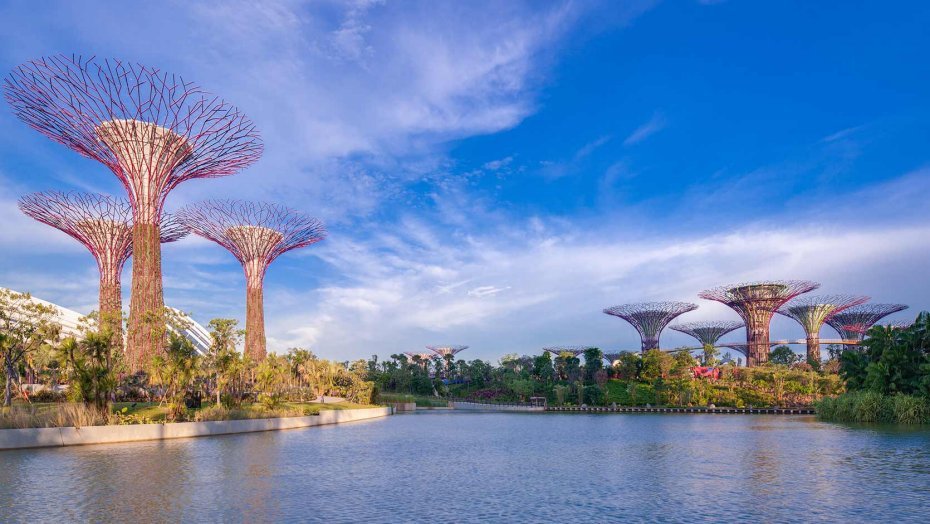 新加坡超级树：城市环保的典范，树下竟隐藏着一个鲜有人知的秘密|太阳能|空中走廊|新加坡_新浪新闻