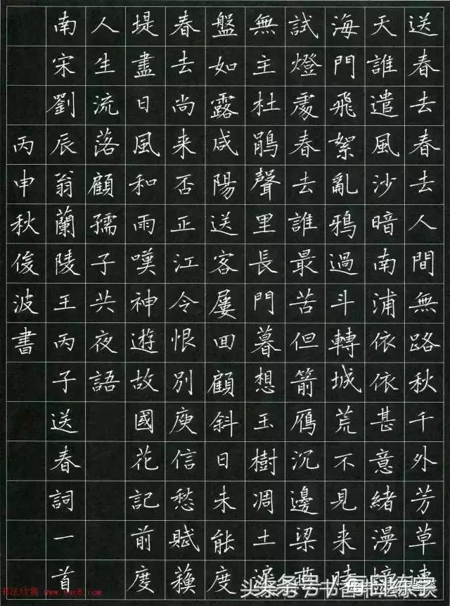 硬笔书法楷书作品欣赏|浙江|硬笔书法|硬笔_新浪新闻