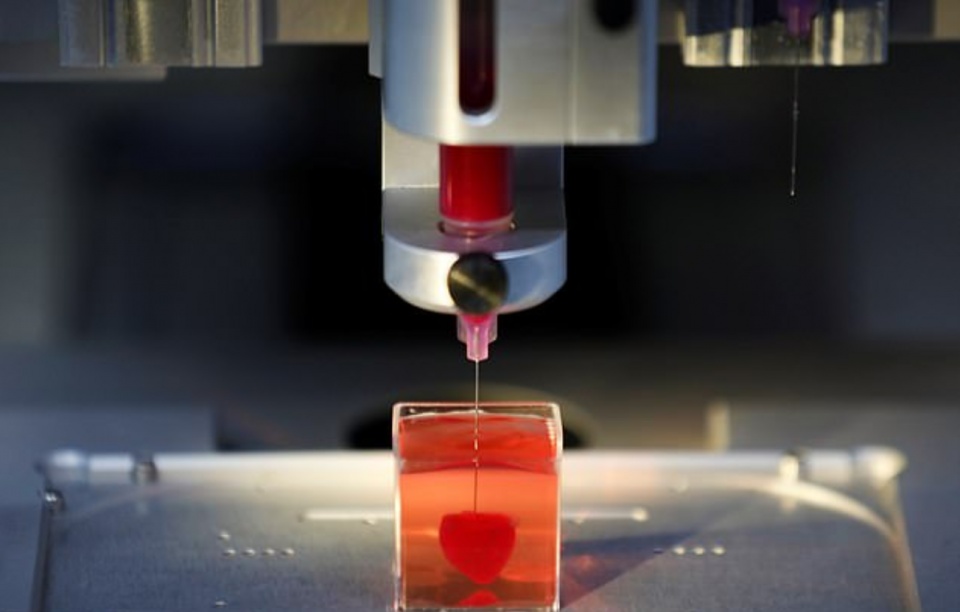 重大医学突破：以色列科学家们打印出了世界上第一个3D心脏|3D|心脏|3D打印_新浪新闻