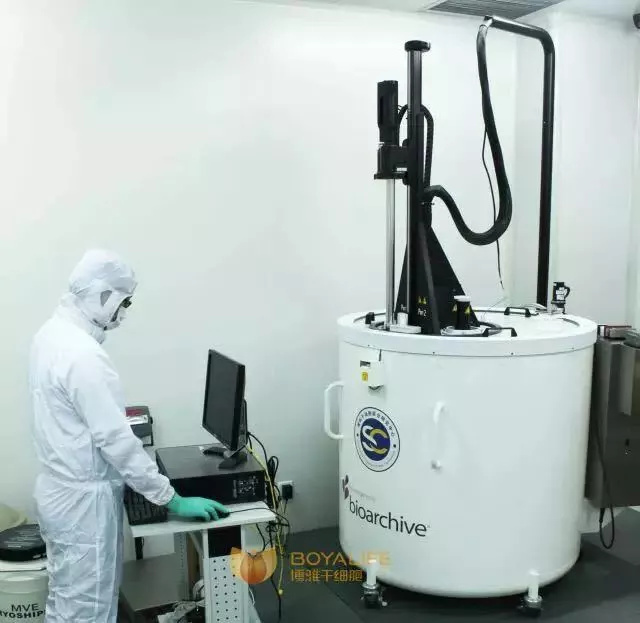 了解了胎盘的真相，你会选择存储吗？