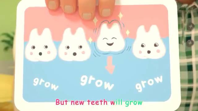 Loose Tooth Song 一首关于换牙的儿歌。告诉小朋友掉牙很正常……_新浪新闻
