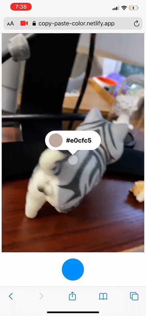 实时取色神器 Color Copy Paste Sonny Lazuardi_新浪新闻