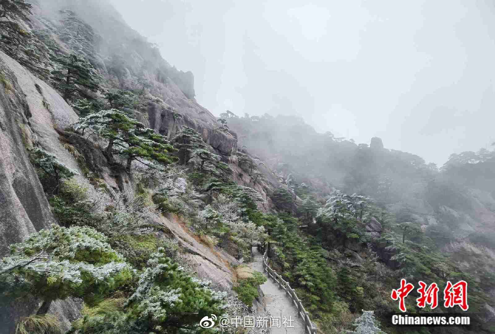 安徽黄山现今秋首场雾凇景观手机新浪网