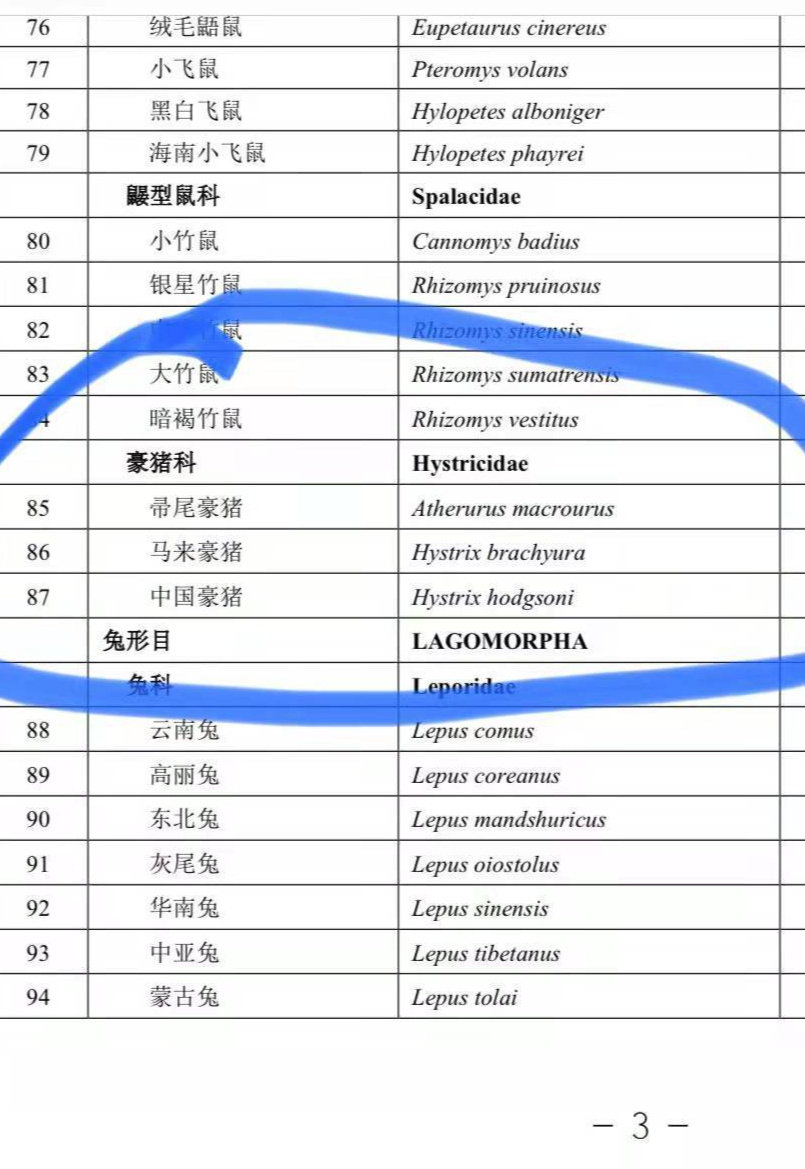 野猪拟从三有动物名录中删除 专家：不等于可以随意猎捕和食用_手机新浪网