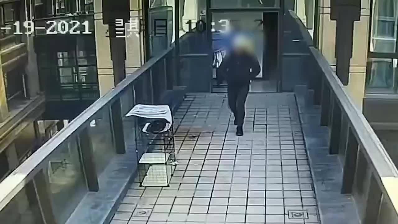 杭州一宠物猫遭陌生男子虐死:铁丝勒颈火烧小猫,因疫情暂未拘留嫌犯手机新浪网