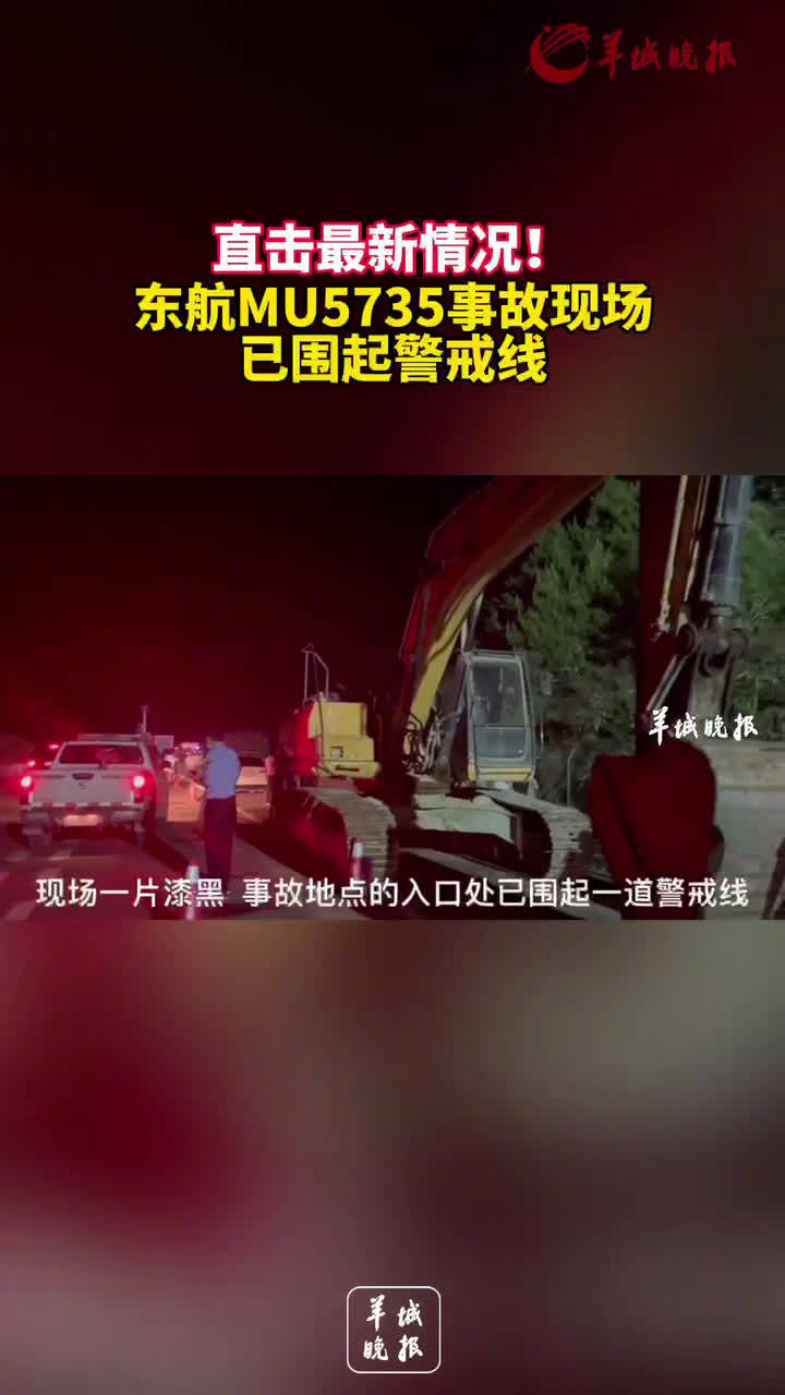 MU5735坠毁 专家：失事时飞机数据极不正常(含视频)_手机新浪网