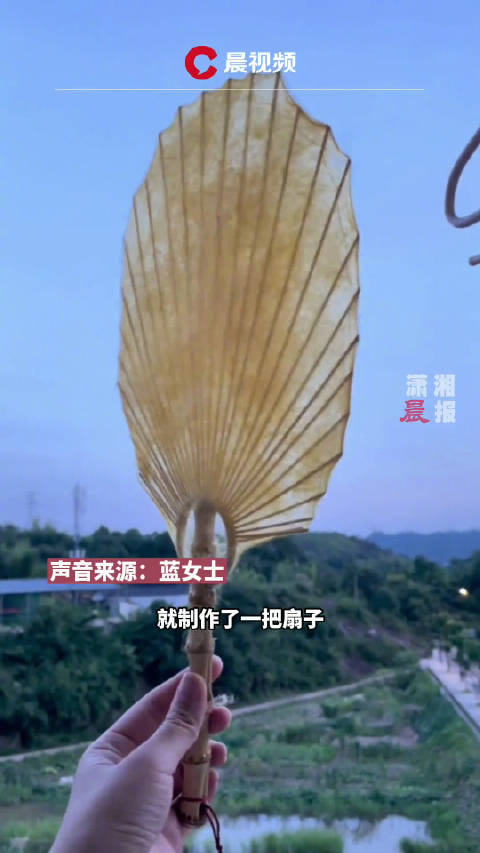 好用不贵！女子用蚕宝宝织了把蚕丝扇_手机新浪网