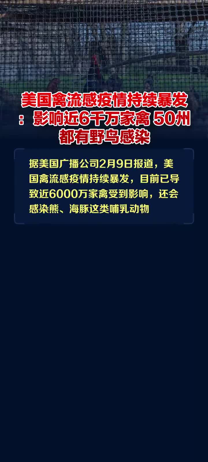  6 50 