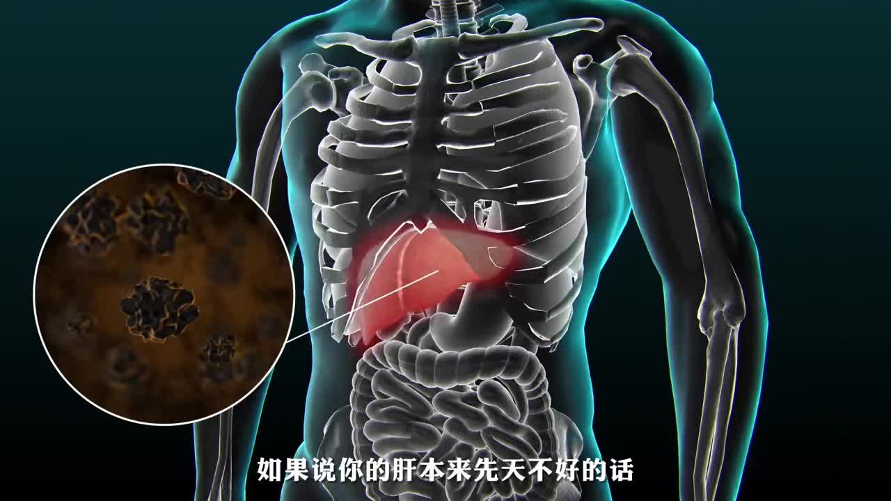 科普有我·全国爱肝日丨远离 肝”扰!河北省三院专家教你呵护小心 肝”手机新浪网
