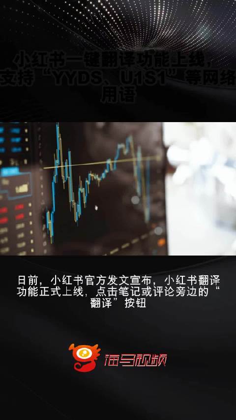 小红书一键翻译功能上线，支持“YYDS、U1S1”等网络用语_手机新浪网