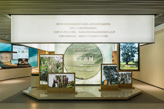 跟着黄马游黄埔·科学城篇： 科技与自然共舞，解锁城市绿肺_手机新浪网