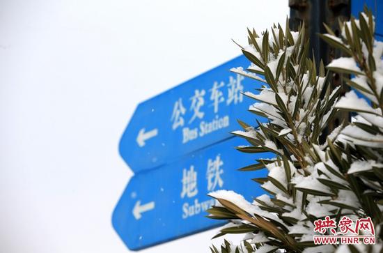 组图：郑州瑞雪伴归途_新浪河南_新浪网