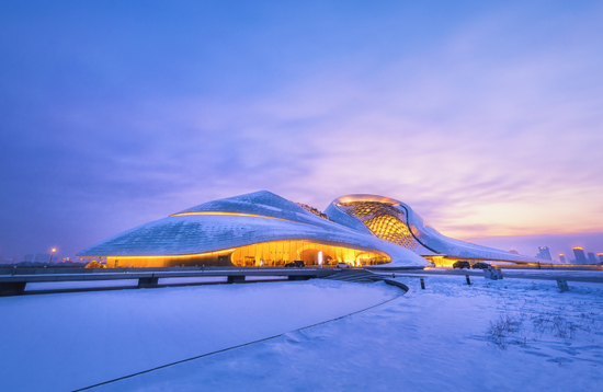 聆听冰城冬日进行曲，感受雪飘时独特的美_新浪黑龙江_新浪网