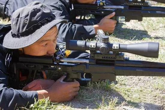 盘点解放军狙击枪 造价26万大狙也只是解决有无问题_手机新浪网