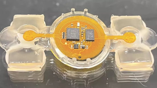 用8万个老鼠脑细胞，科学家造出了一台“生物电脑”