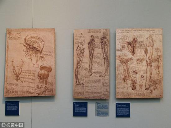 他是五百年前的画家 却创作出类似现代的解剖图|达芬奇|解剖图|画家_新浪新闻