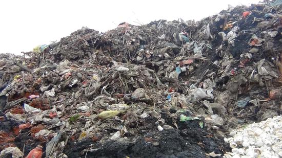 斯里兰卡垃圾山坍塌已致30人遇难 含6名儿童|垃圾山|斯里兰卡|遇难_新浪新闻