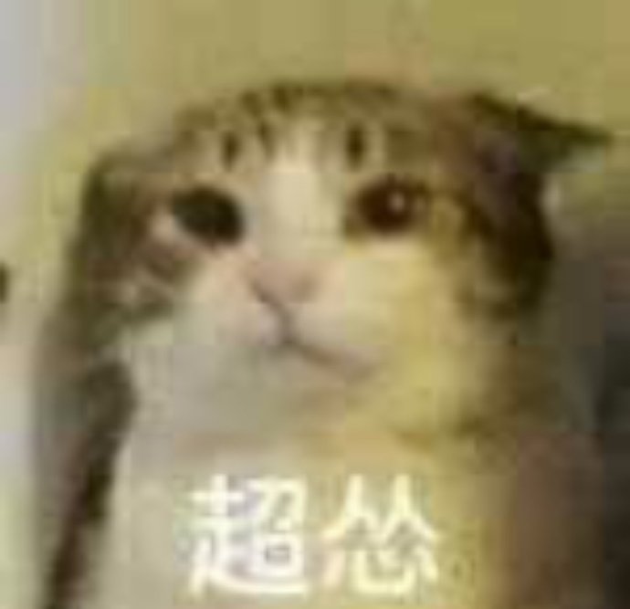 【认怂表情包】礼貌拿图 爱你 怂委屈巴巴被凶了不开心我又不敢顶嘴巨怂超怂我很怂的怂成一团怂翻在地又乖又怂可爱猫猫表情包 😺