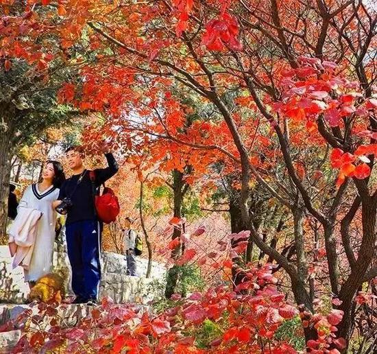 权威发布 | 好消息！临朐一大波景区降价~国庆尽情嗨吧！_新浪山东_新浪网