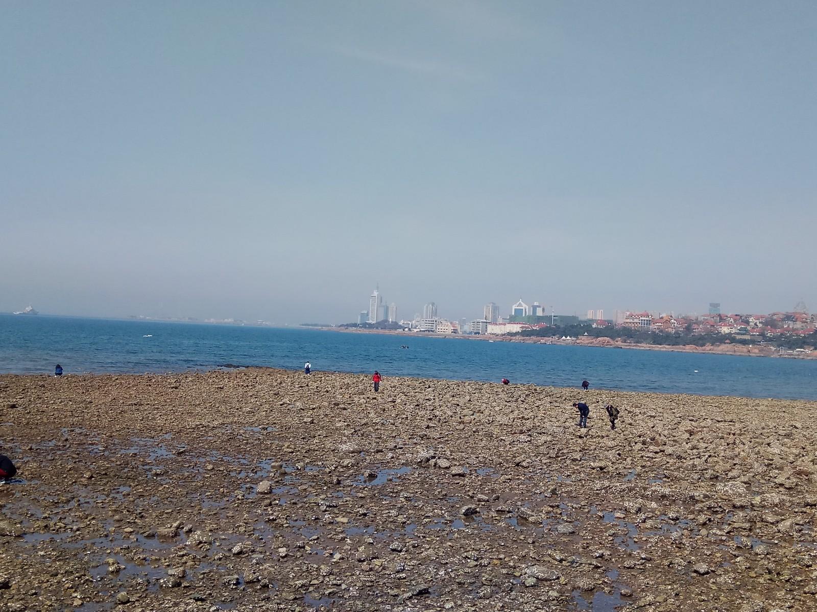 春天的青岛海边随拍|青岛|景色_新浪新闻