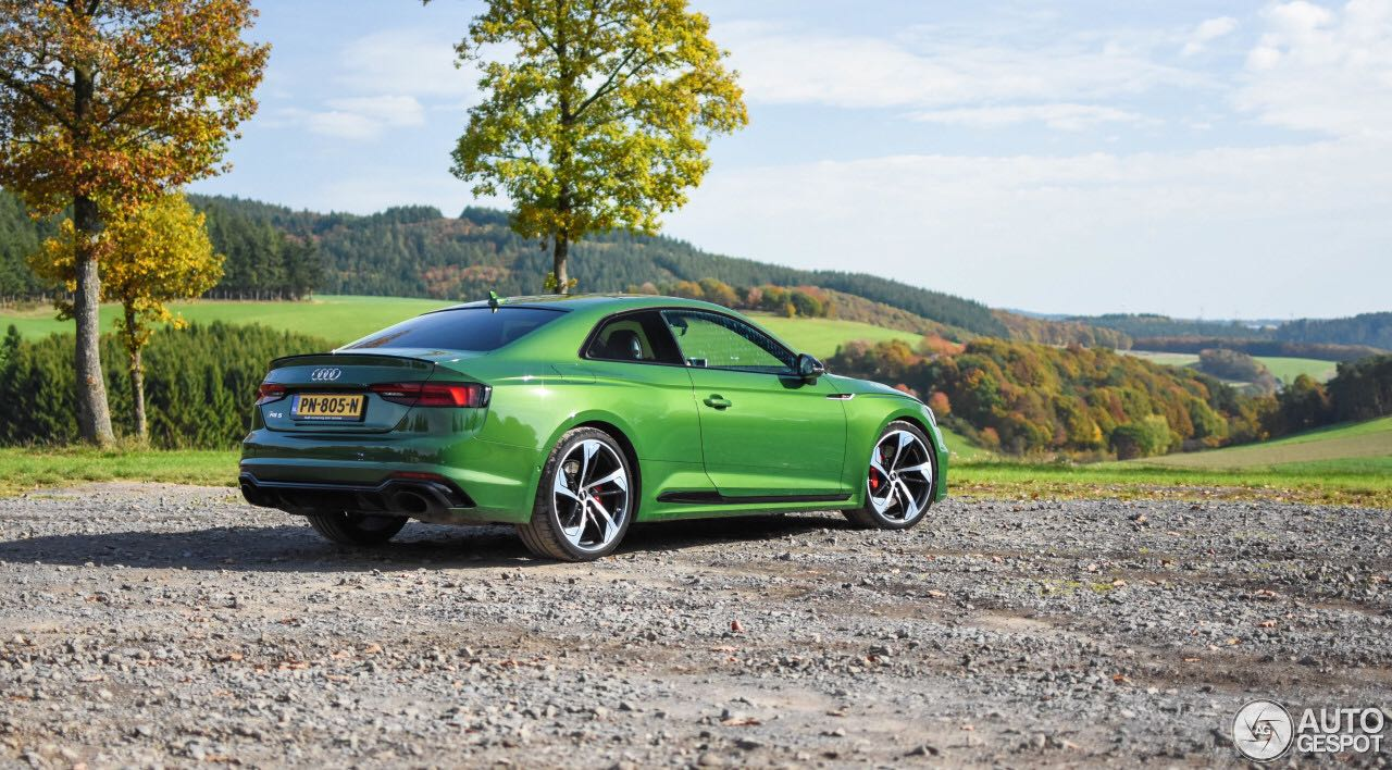 奥迪 Rs5 B9 德国-新浪汽车