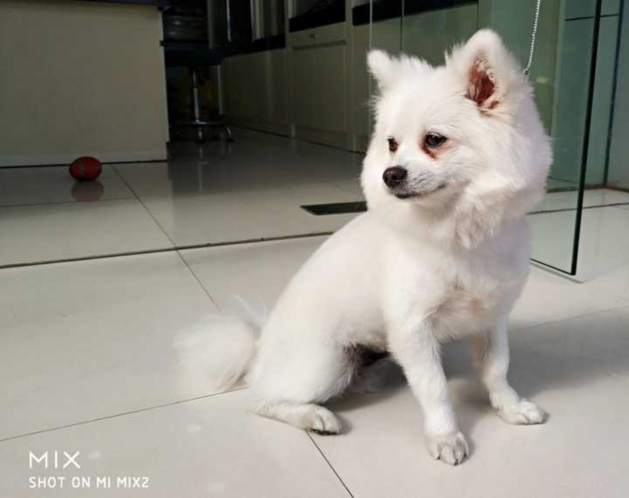 VIVO X20，OPPO R11，小米 MIX2，华为 MATE10选哪款？纠结...__财经头条