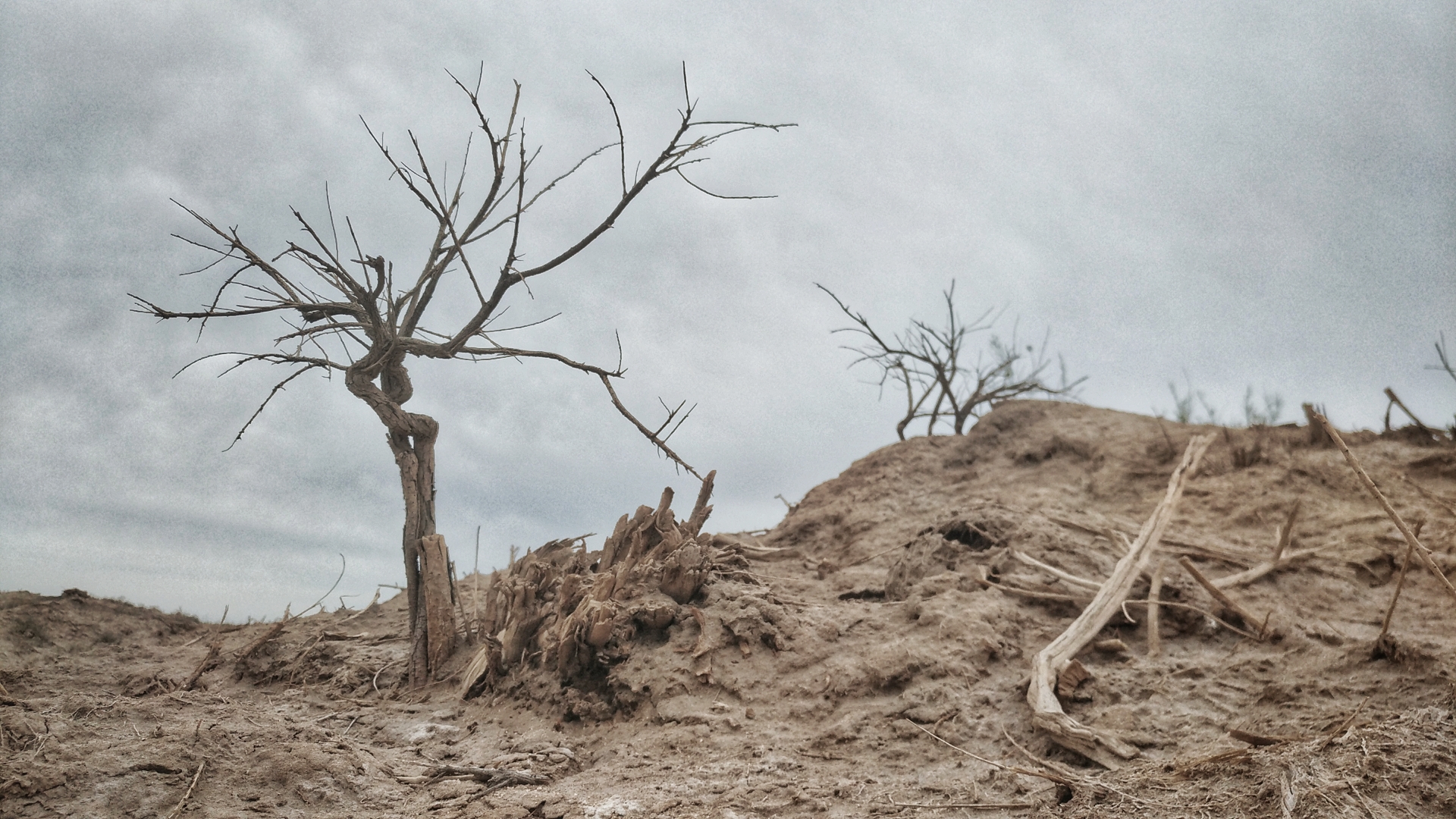 问天-2018年5月4日拍摄于酒泉戈壁滩盐碱地|盐碱地|问天|戈壁滩_新浪新闻