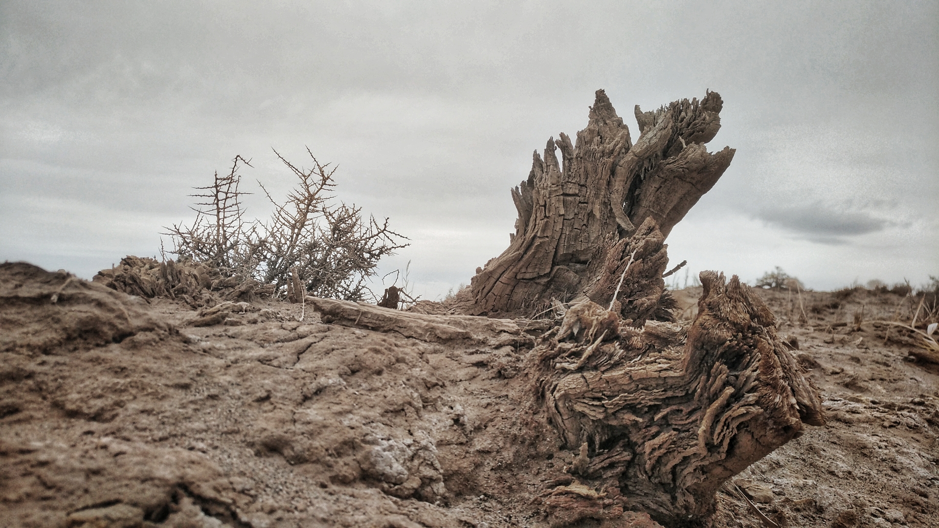 问天-2018年5月4日拍摄于酒泉戈壁滩盐碱地|盐碱地|问天|戈壁滩_新浪新闻