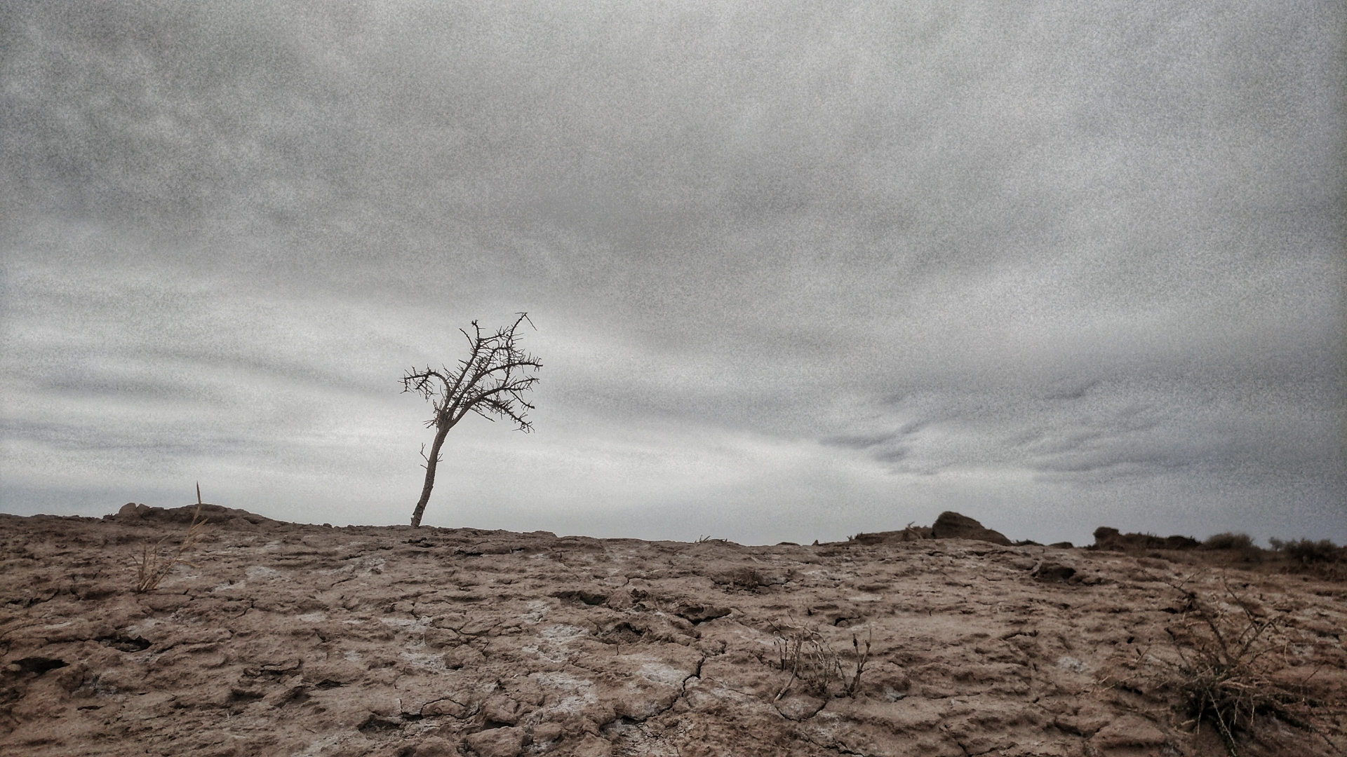 问天-2018年5月4日拍摄于酒泉戈壁滩盐碱地|盐碱地|问天|戈壁滩_新浪新闻