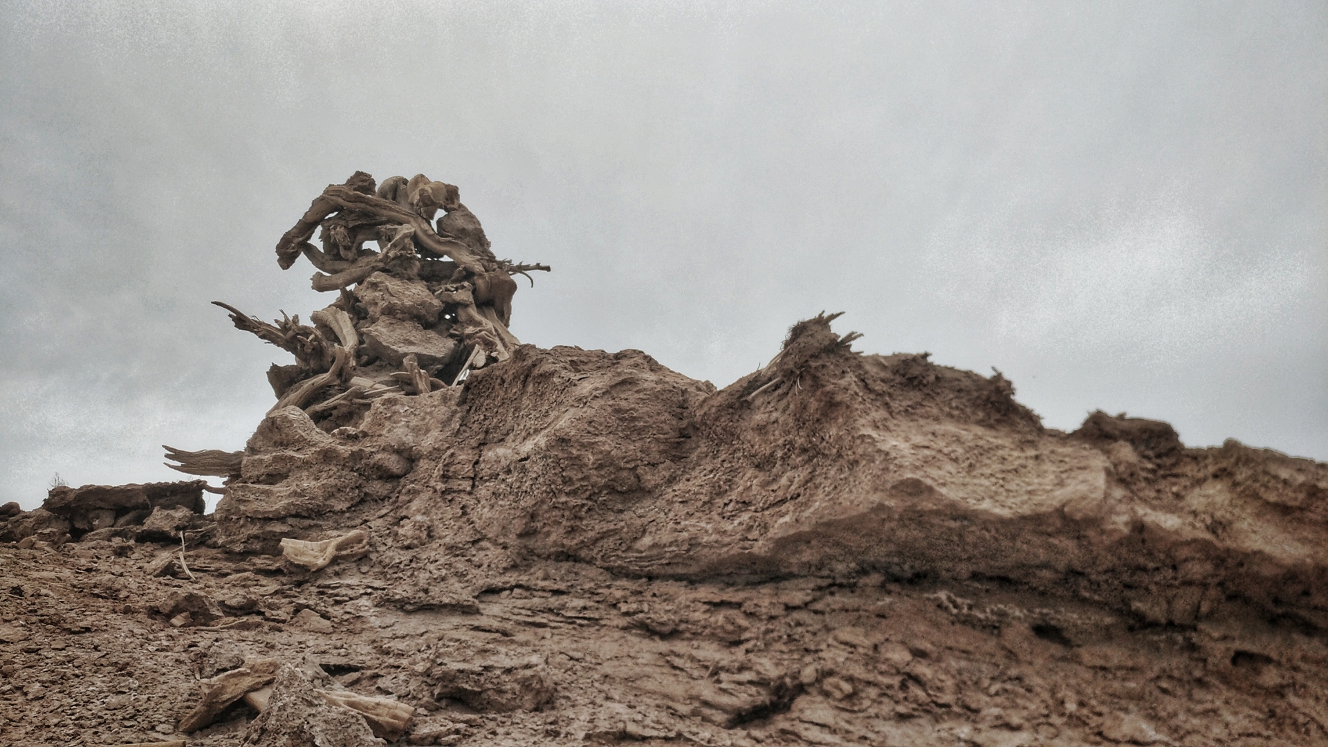 问天-2018年5月4日拍摄于酒泉戈壁滩盐碱地|盐碱地|问天|戈壁滩_新浪新闻