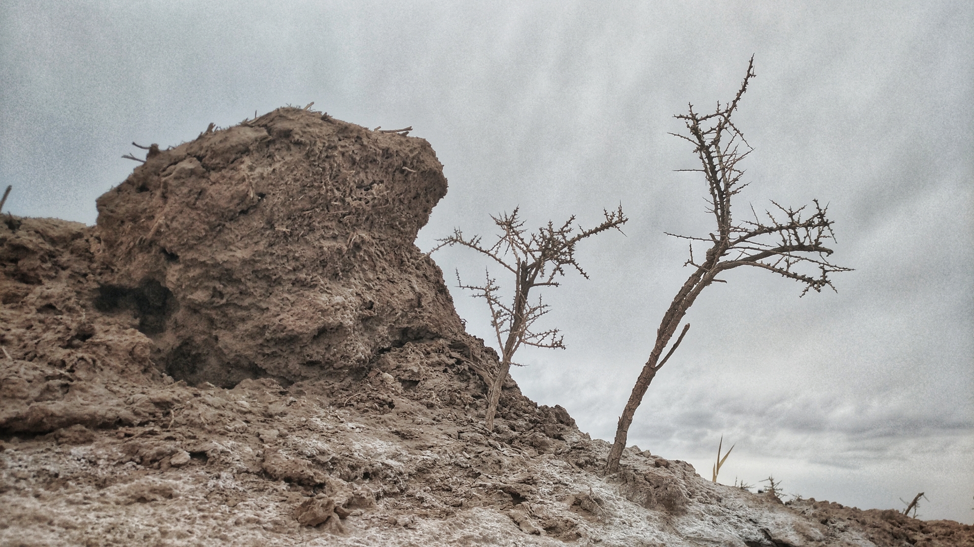 问天-2018年5月4日拍摄于酒泉戈壁滩盐碱地|盐碱地|问天|戈壁滩_新浪新闻
