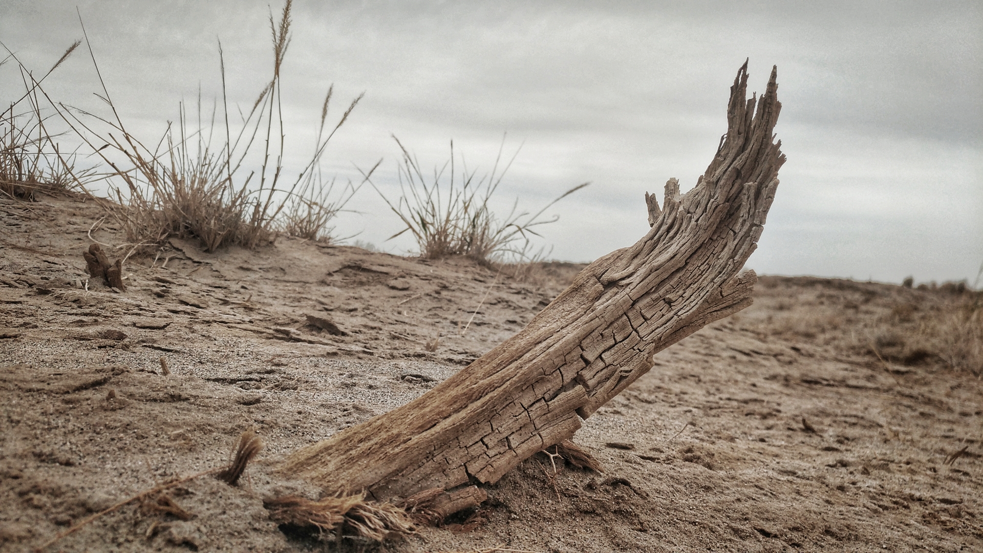 问天-2018年5月4日拍摄于酒泉戈壁滩盐碱地|盐碱地|问天|戈壁滩_新浪新闻