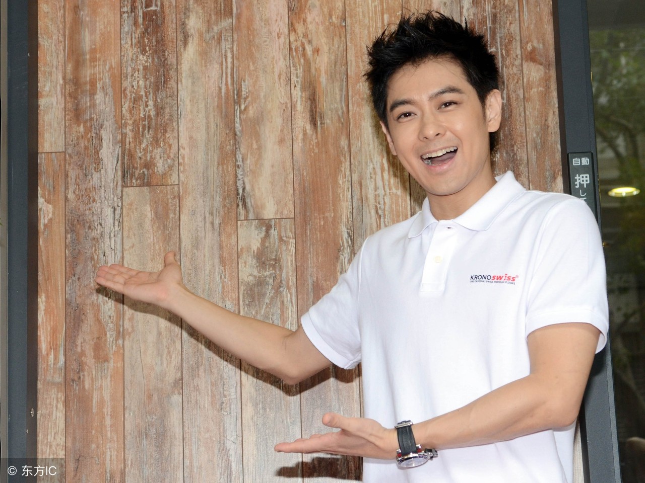 中国台湾男演员、歌手、赛车手：林志颖