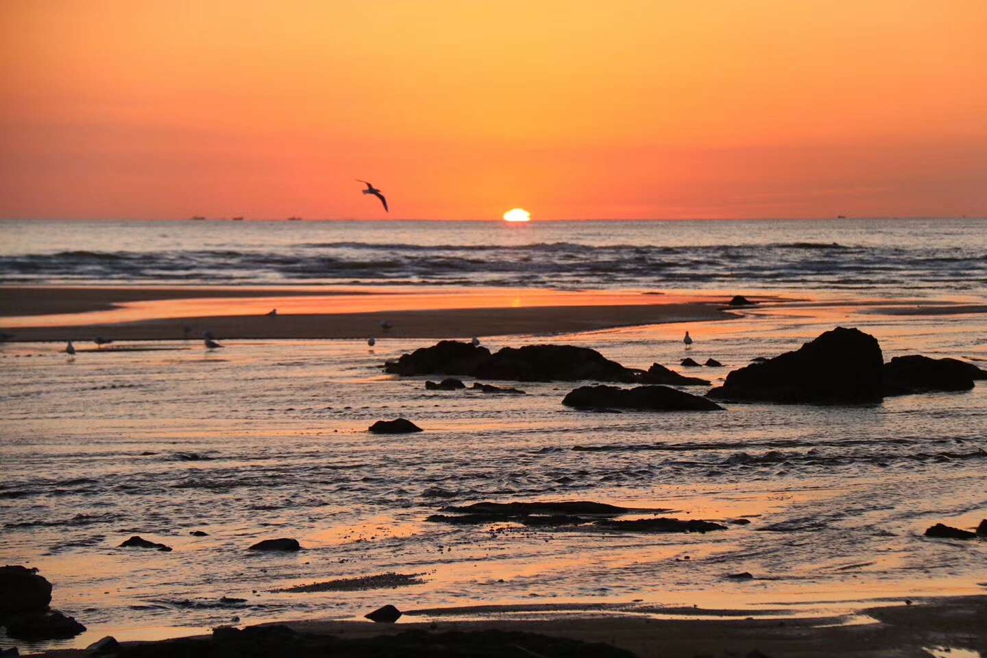 日出先照，旭日东升，魅力日照，好客山东！|山东|日照|日出_新浪新闻