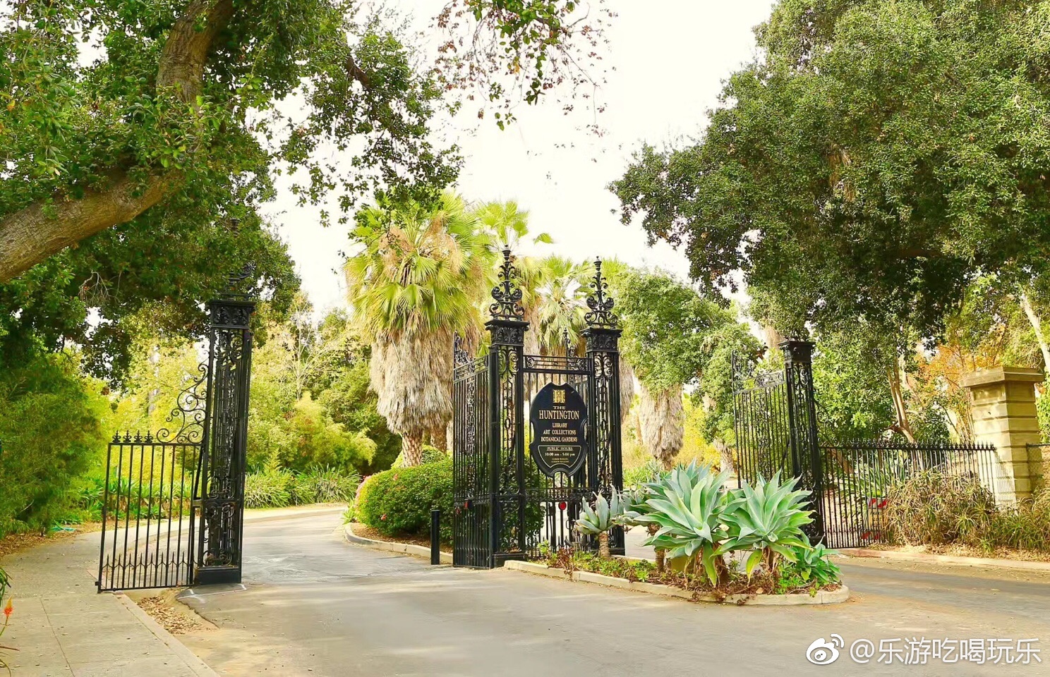 huntington library，原以为只是一个图书馆|图书馆|旅游|植物园_新浪新闻