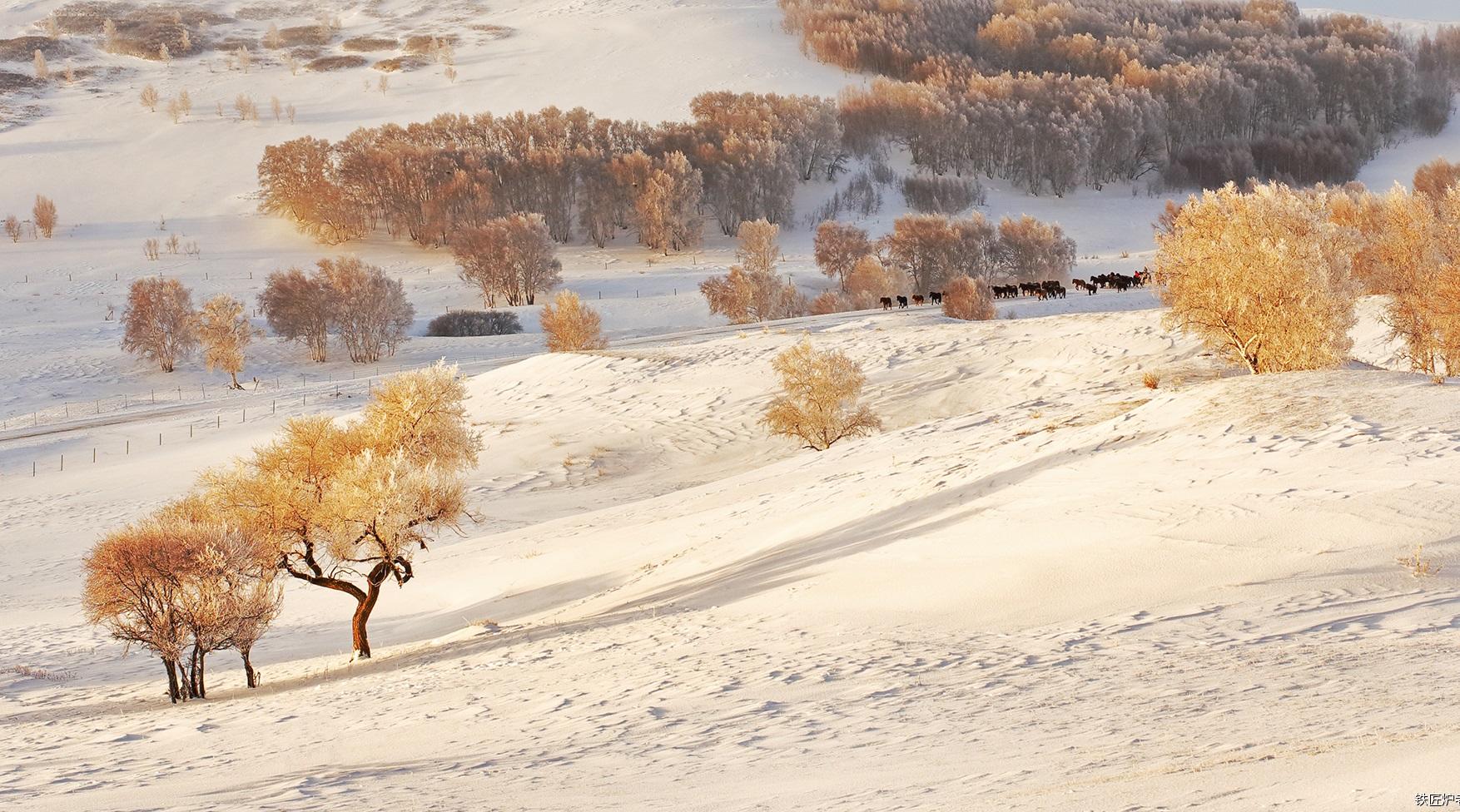 中国雪景不止只有雪乡，他为留下中国最美雪景，深入荒原零下拍摄