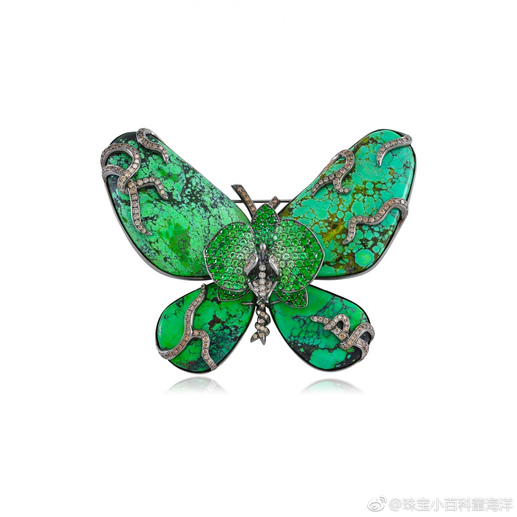 对于Lydia Courteille