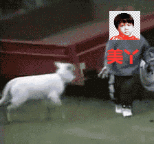 设计神器GIFntext——轻松添加GIF文字特效|文字|神器|编辑_新浪新闻