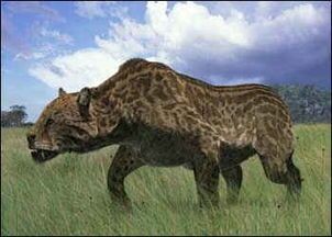 后猫族下的一属 恐猫