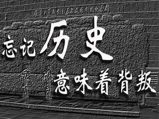 关于南京大屠杀除了仇视, 还可以做这四件事, 让爱国不再流于形式|南京大屠杀|历史|张纯如_新浪新闻