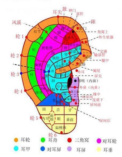 每晚睡前揉这里，降血压，通经络，延寿命！