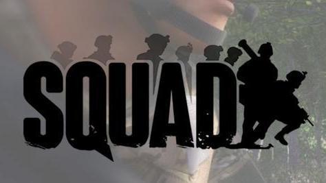 枫评游戏之《Squad》: 从误杀队友开始, 一步一步成为战术精英!|SQUAD|游戏中|服务器_新浪新闻
