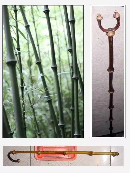 为了这条中印商路，汉武帝发兵西南杀敌数十万，离成功却只差一步